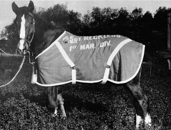 Staff Sergeant Reckless – Decorated War Horse from the Korean War