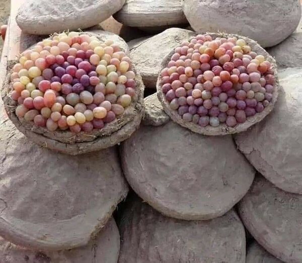 Kangina – Centuries Old Afghan Method of Preserving Fresh Grapes
