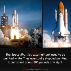 500 Fun Facts For Curious Minds