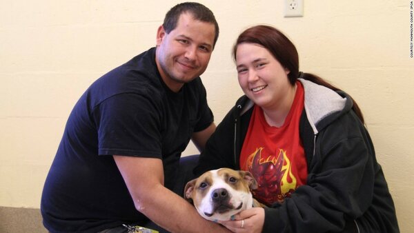 Reckless the Dog is Reunited with Family after Being Lost