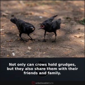 36 Weird Animal Facts That'll Amaze You
