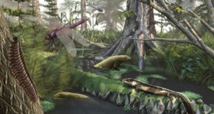 71 Interesting Facts About The Earth You Must Know