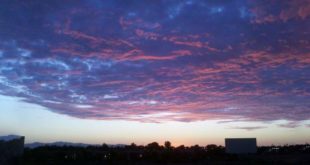 20 Best Drive-In Movie Theatres In The US