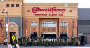 41 Cheesecake Facts Every Foodaholic Must Know!