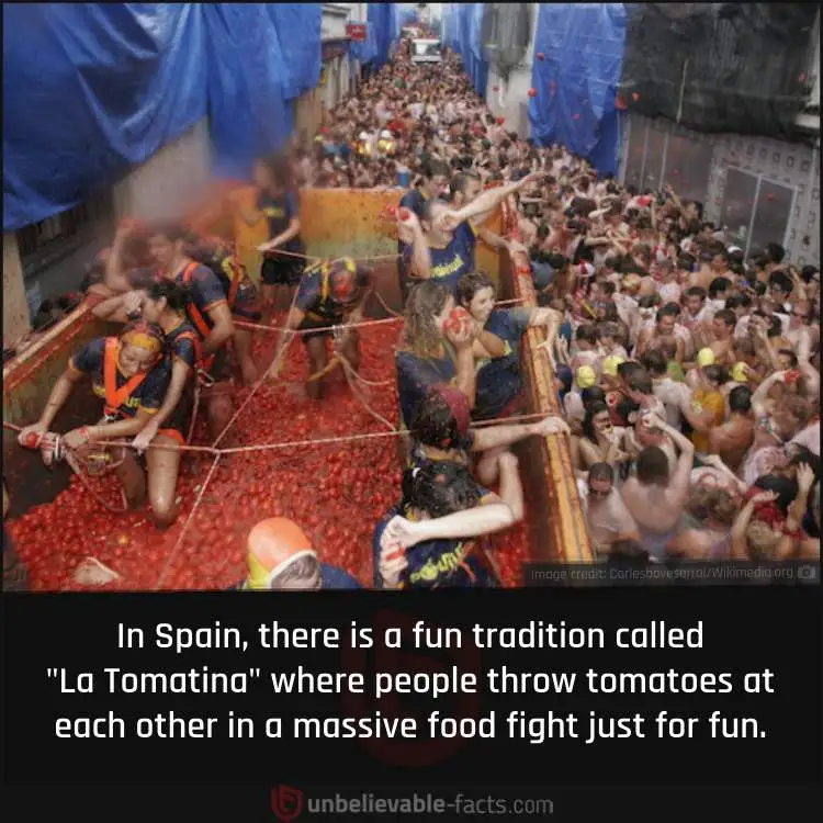 13 Facts About La Tomatina – Top 6 Fun Facts about La Tomatina Festival ...
