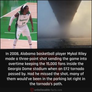 301 Interesting Facts To Share With Your Friends