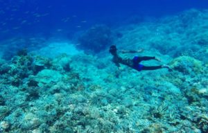 Bajau Laut Can Remain Underwater at 200ft Over 10 minutes!