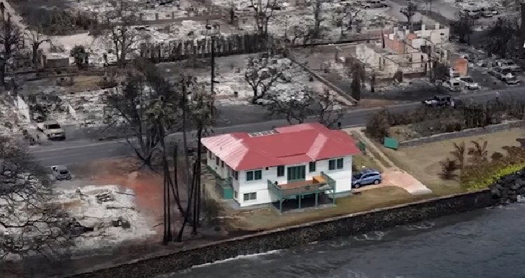 How Did the Red House in Hawaii Survive the Wildfires?