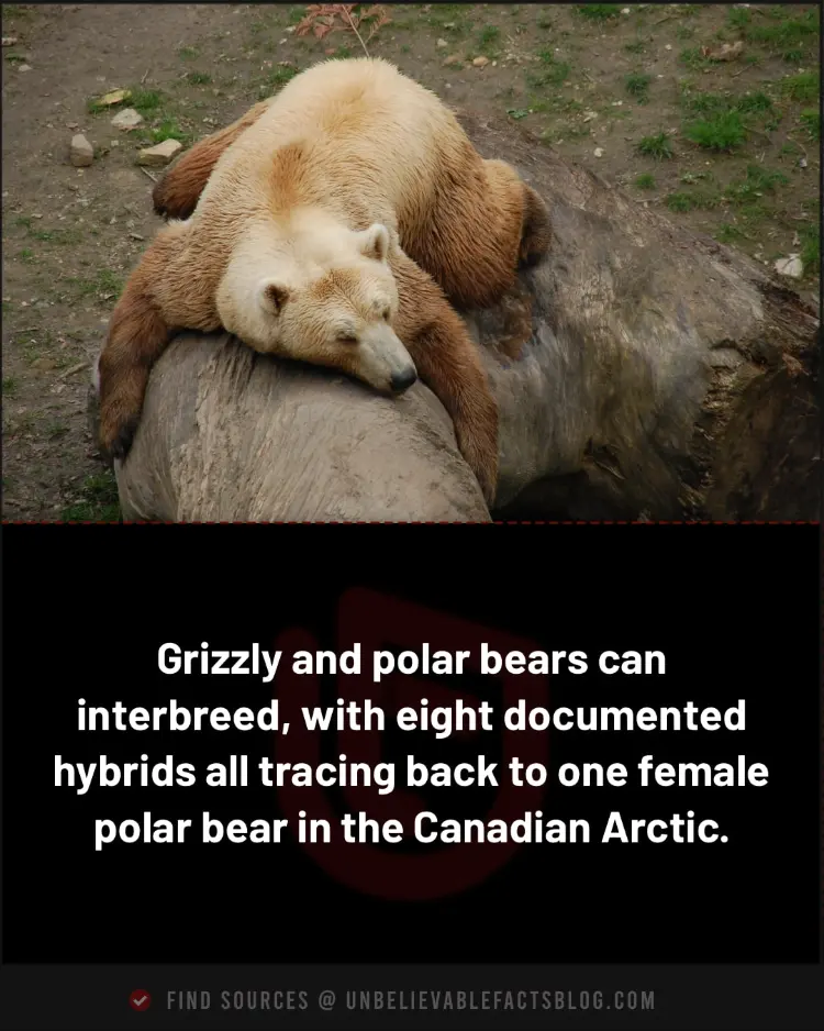 40 Cool Animal Facts to Spark Your Curiosity About Wildlife