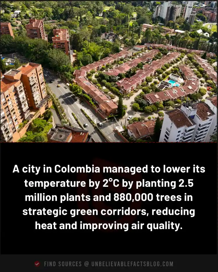 50 Heartwarming Facts That Will Brighten Your Day