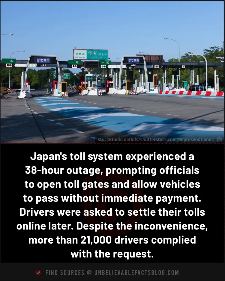 50 Heartwarming Facts That Will Brighten Your Day